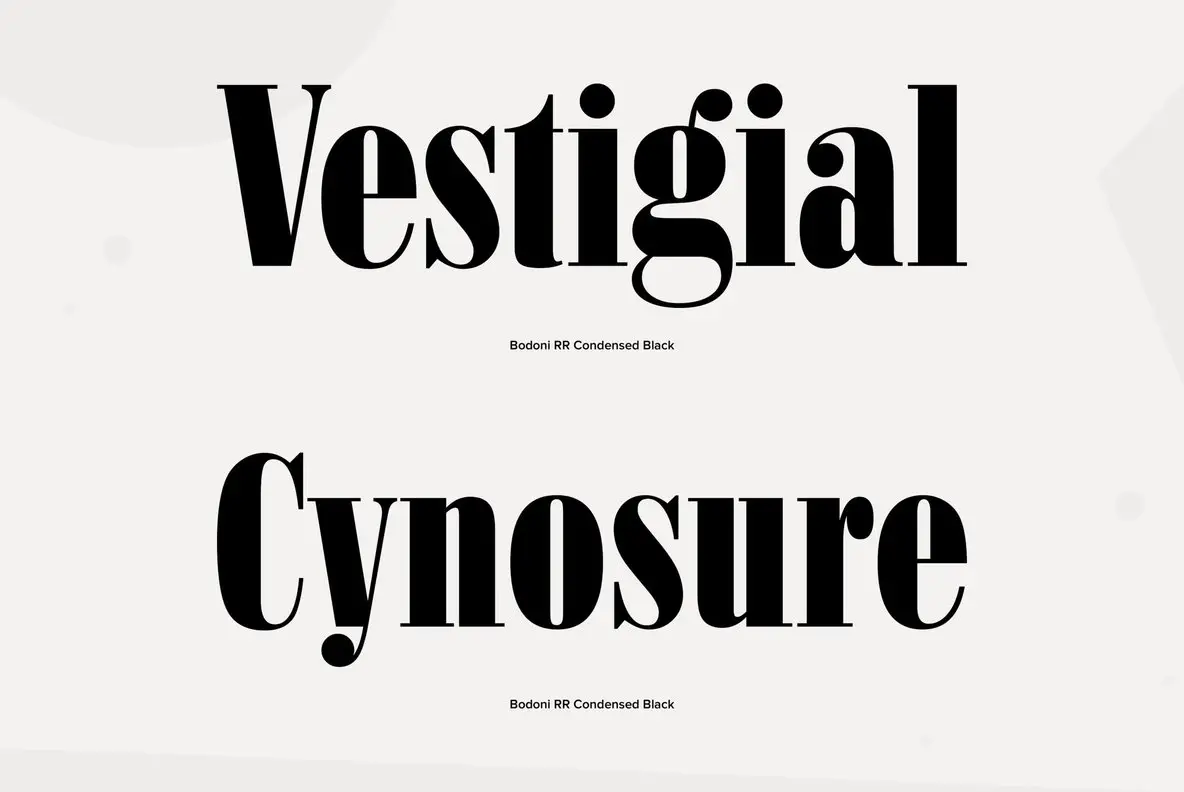 Bodoni Condensed Black Font - FontPath