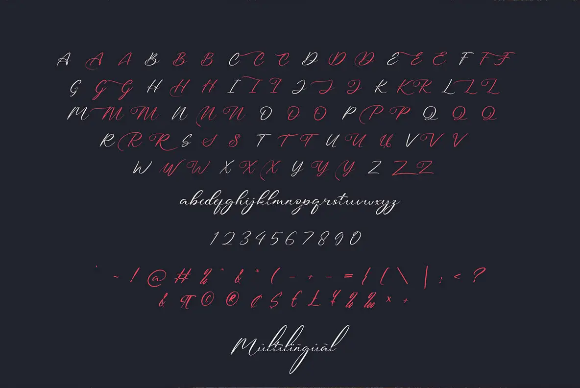 Michand Script Font - YouWorkForThem