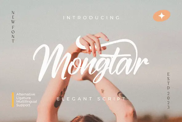 Download Lettermine Studio Fonts - FontPath