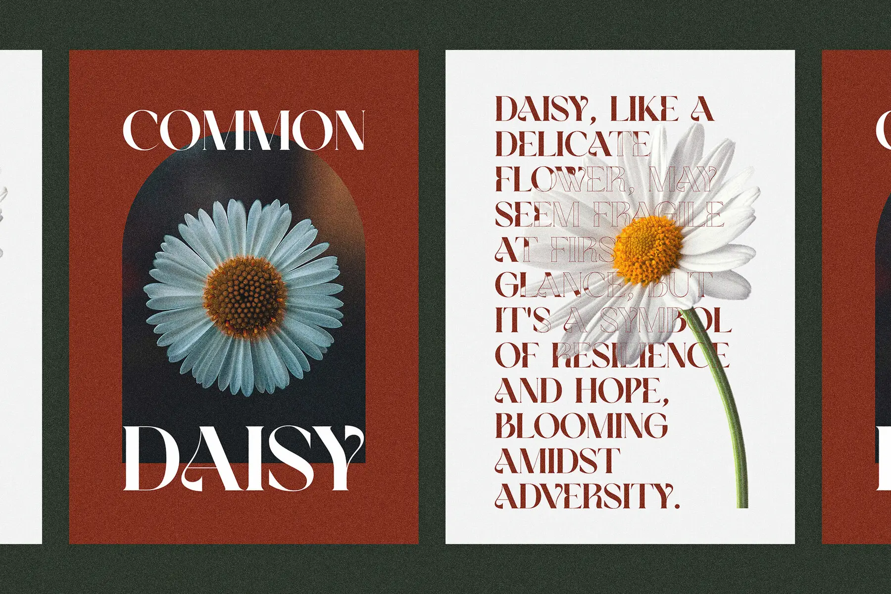 Walker Font - YouWorkForThem