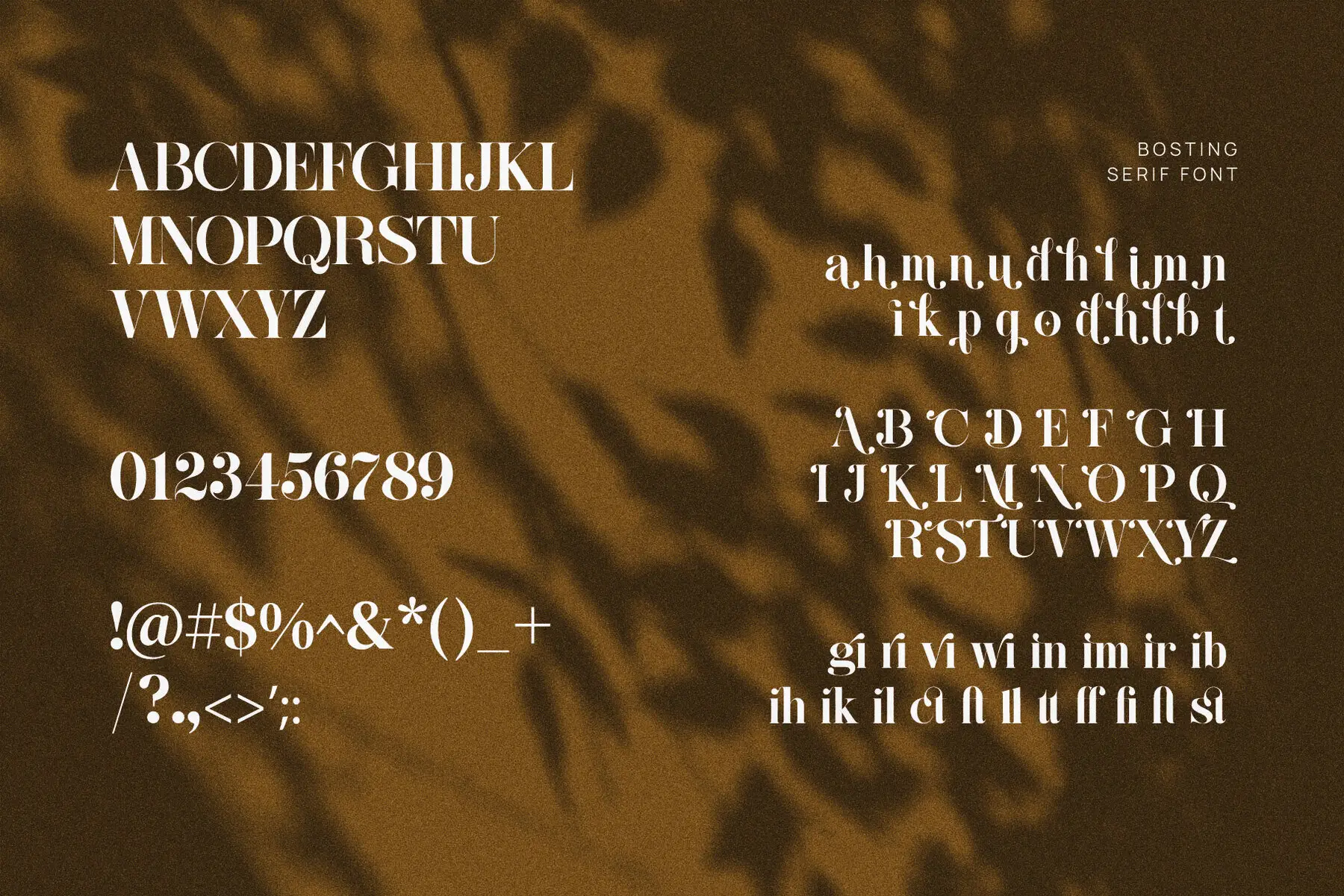 Bosting Font - YouWorkForThem