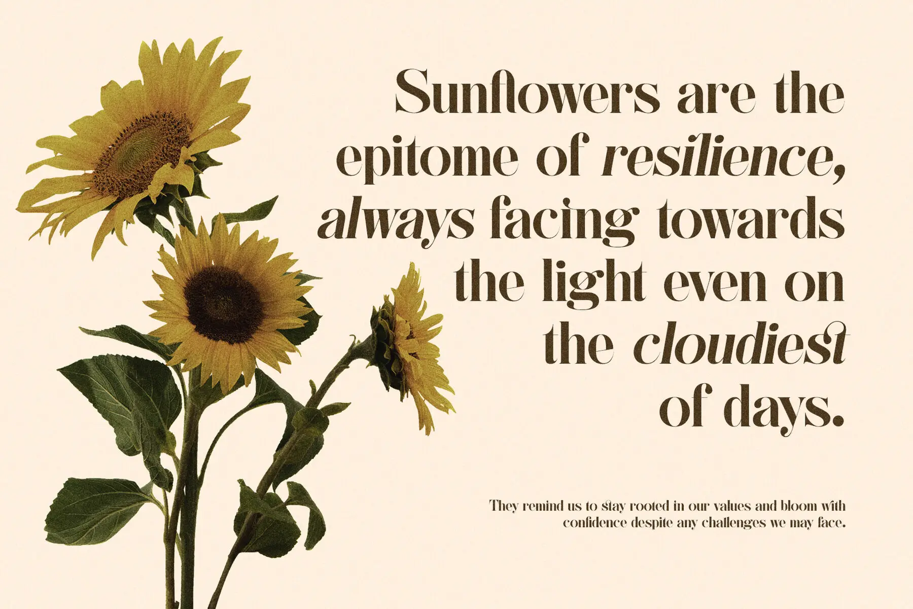 Bosting Font - YouWorkForThem