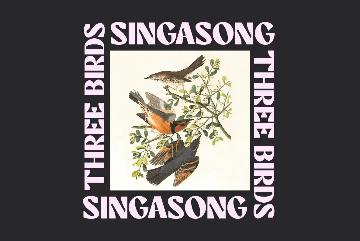 Morsan Font - YouWorkForThem