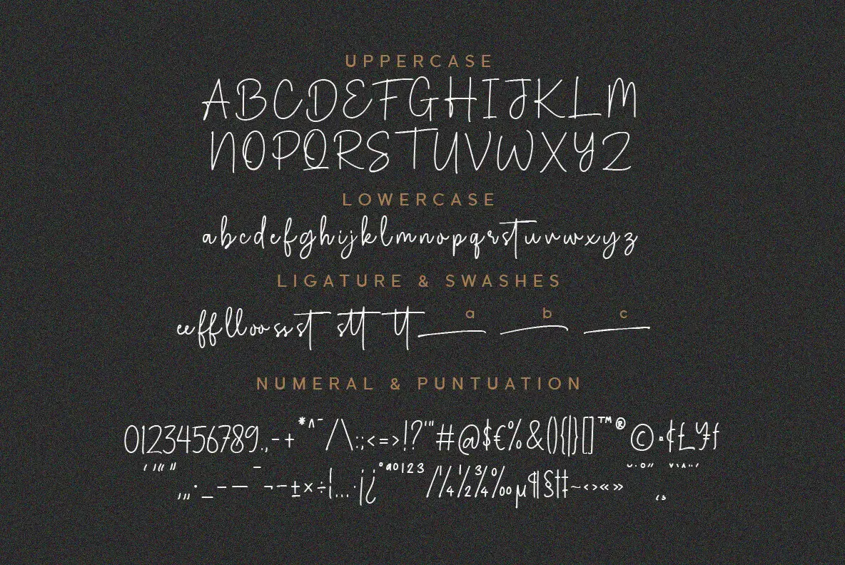 Alexandra Gistela Font - YouWorkForThem