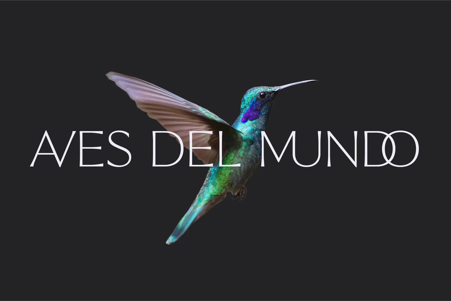 Aetheria Font - YouWorkForThem