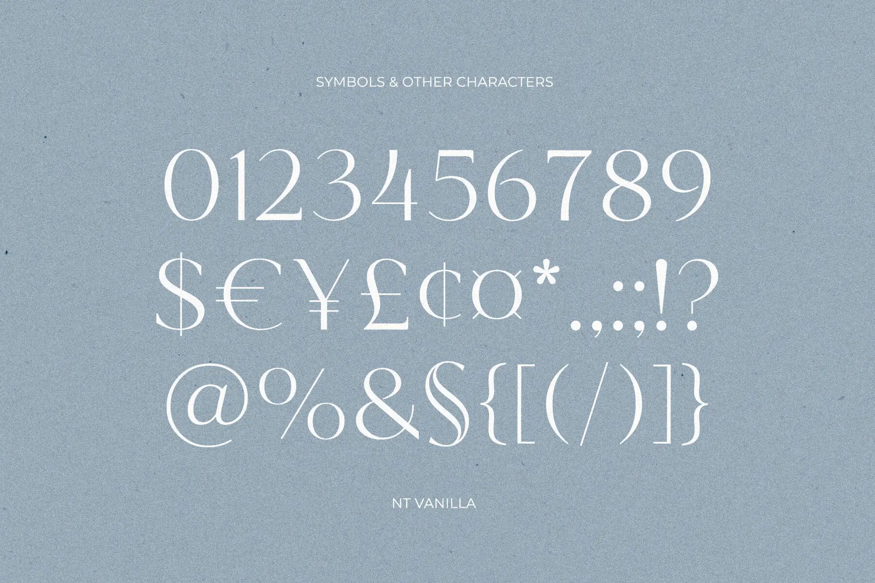 NT Vanilla Font - FontPath