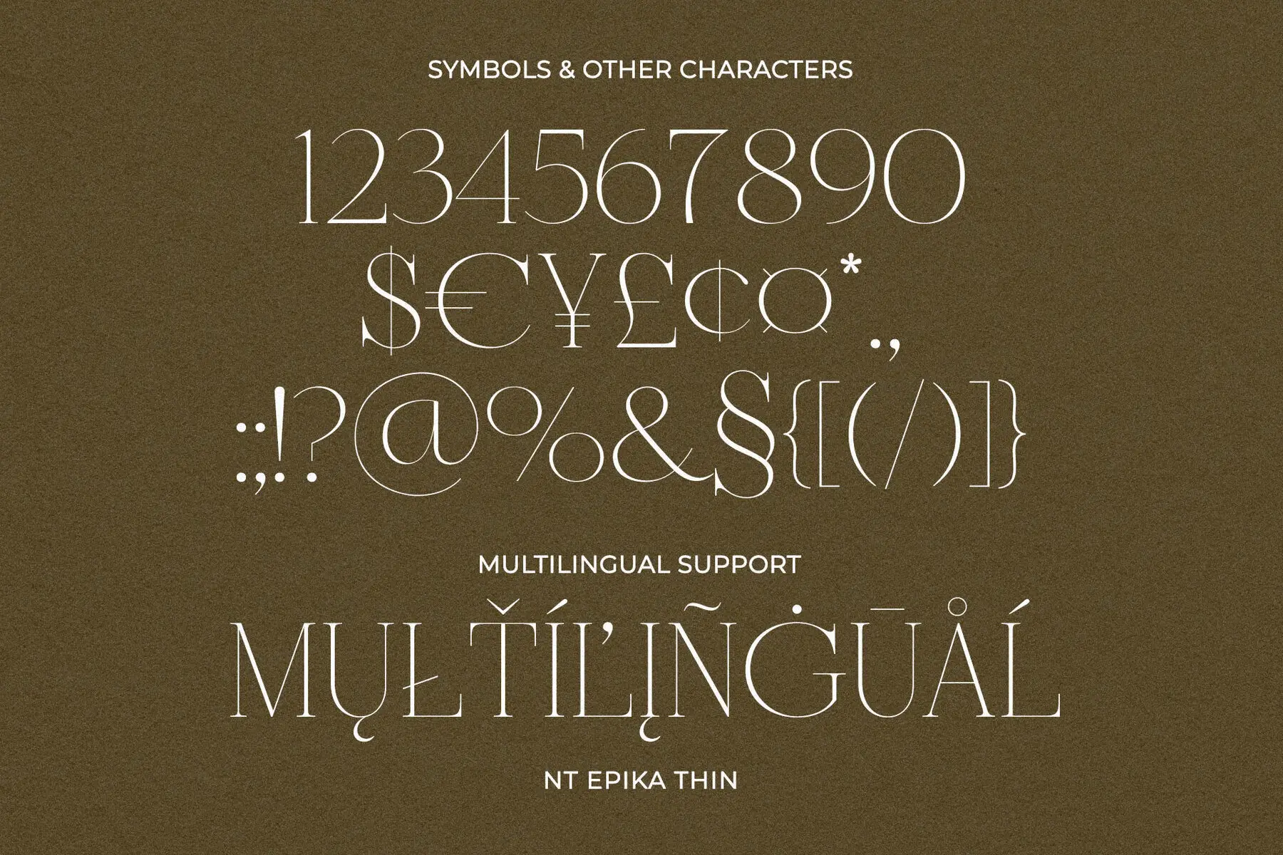 NT Epika Font - YouWorkForThem
