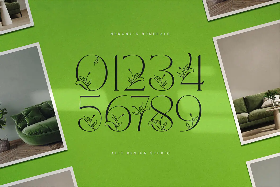 Narony Natural Font - FontPath