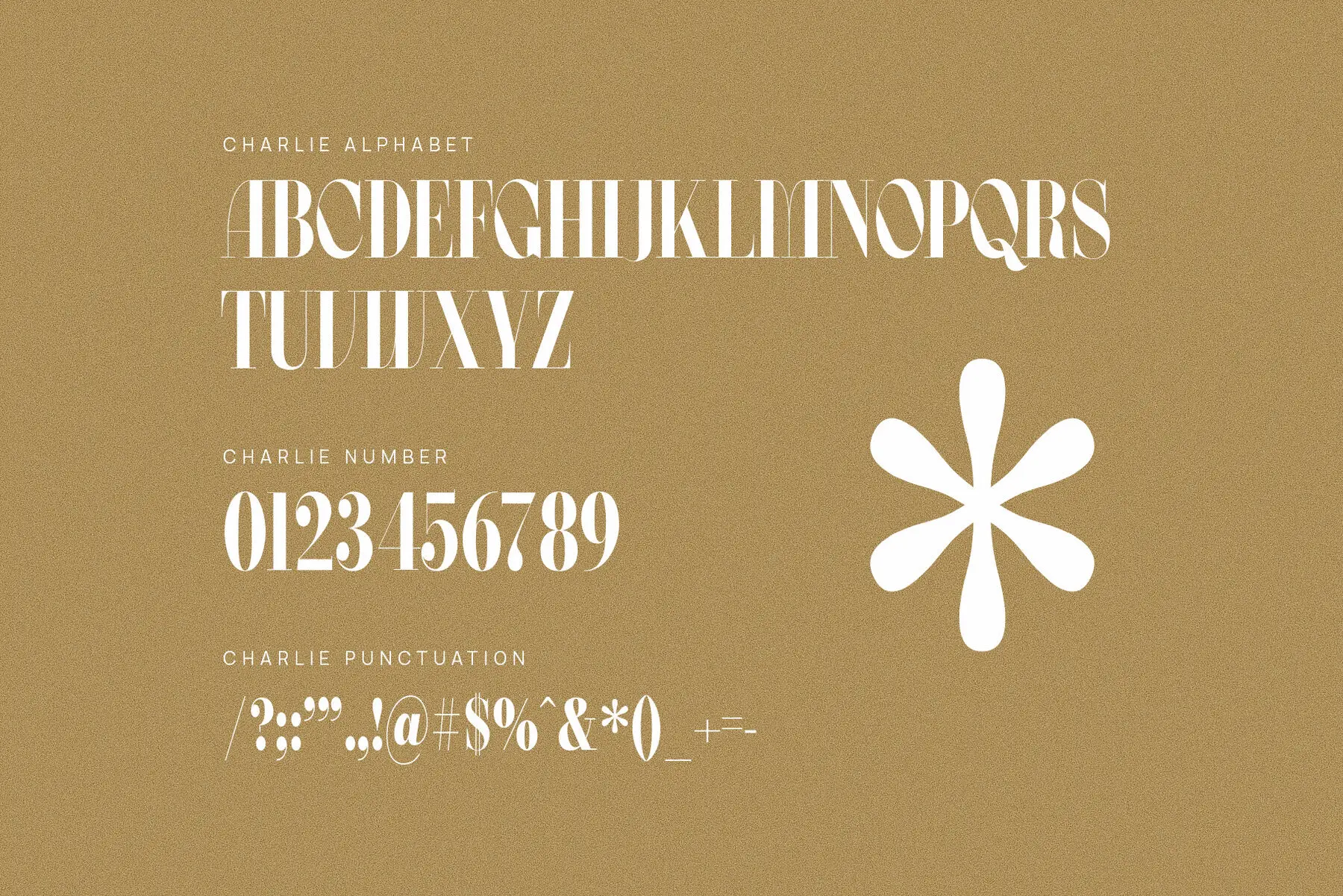 Charlie Font - YouWorkForThem