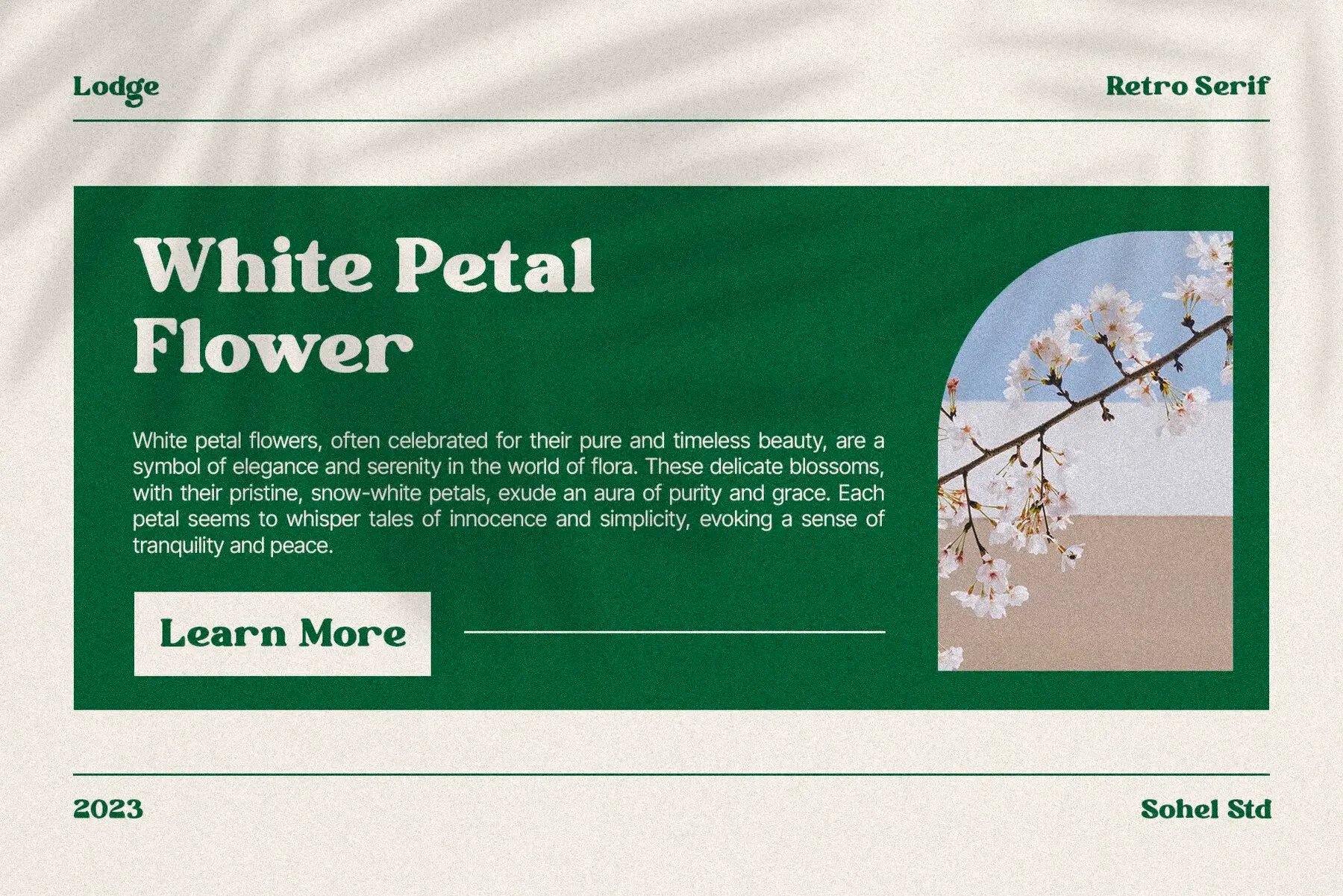 Glee Laughter Font - YouWorkForThem