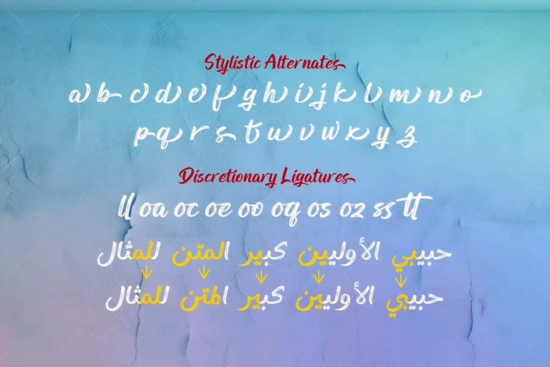 Ink Brush Arabic Font - YouWorkForThem