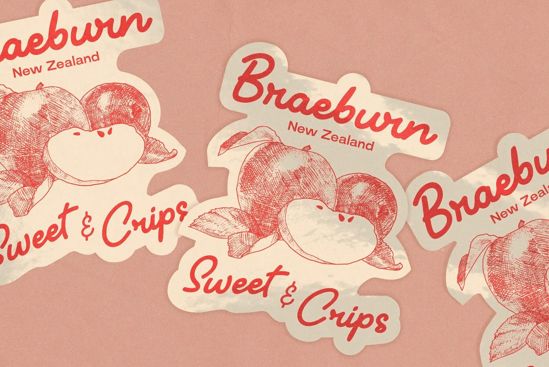 Fresh Market Font: Retro American Script for Dynamic Design ...