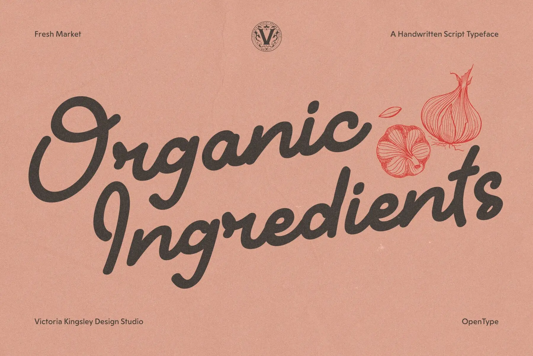 Fresh Market Font: Retro American Script for Dynamic Design ...