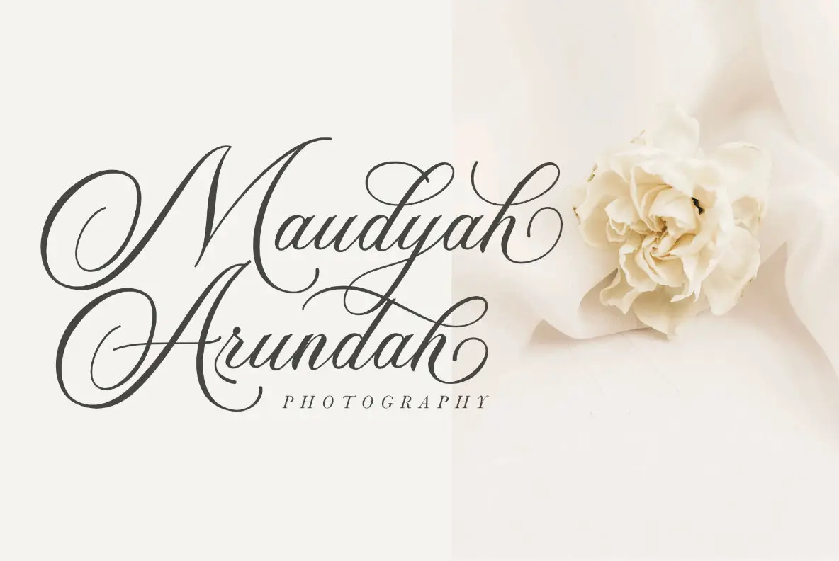 Alexandra Calligraphy Font - YouWorkForThem