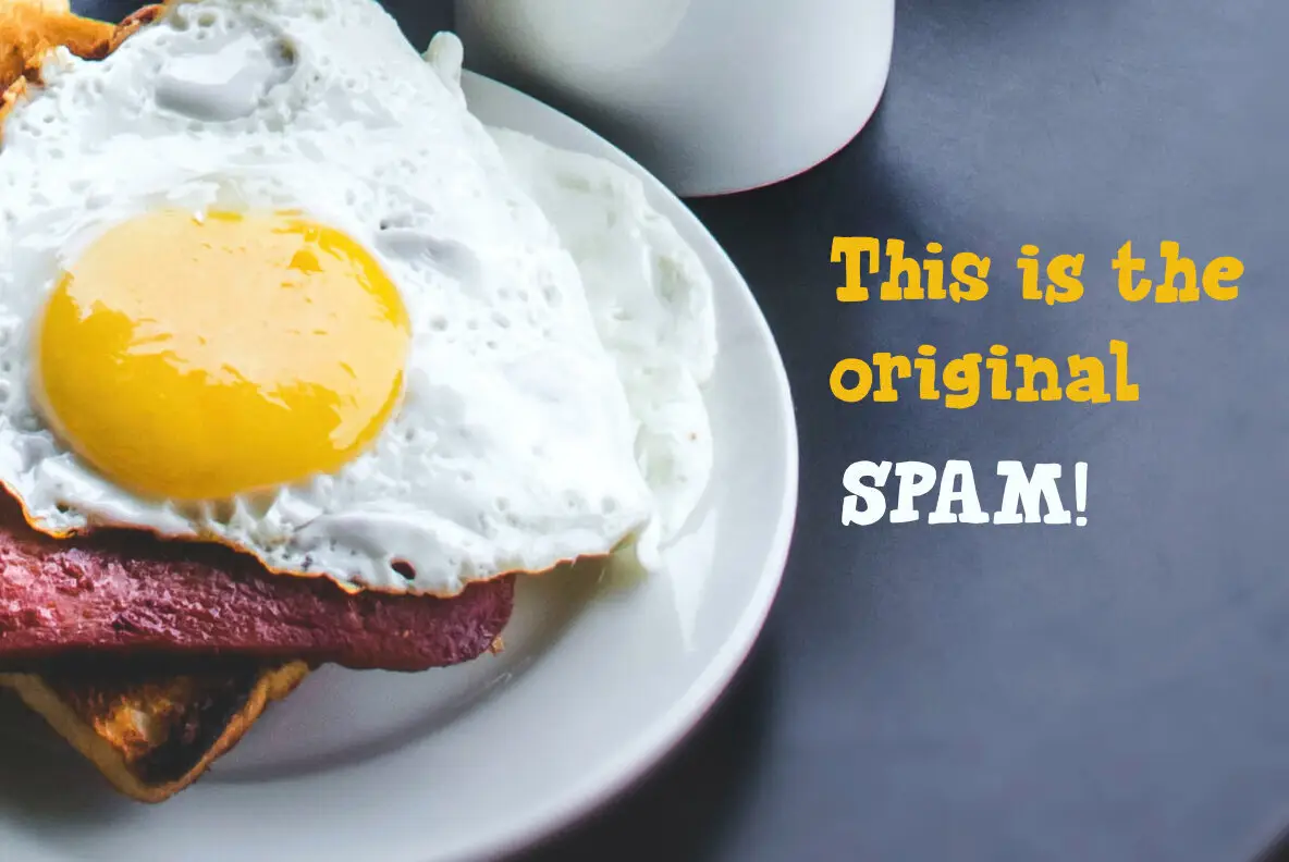 Biscuits And Spam Font - YouWorkForThem