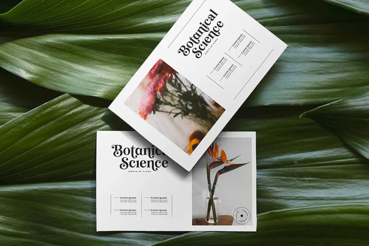 Nomadic Dreams Font - YouWorkForThem