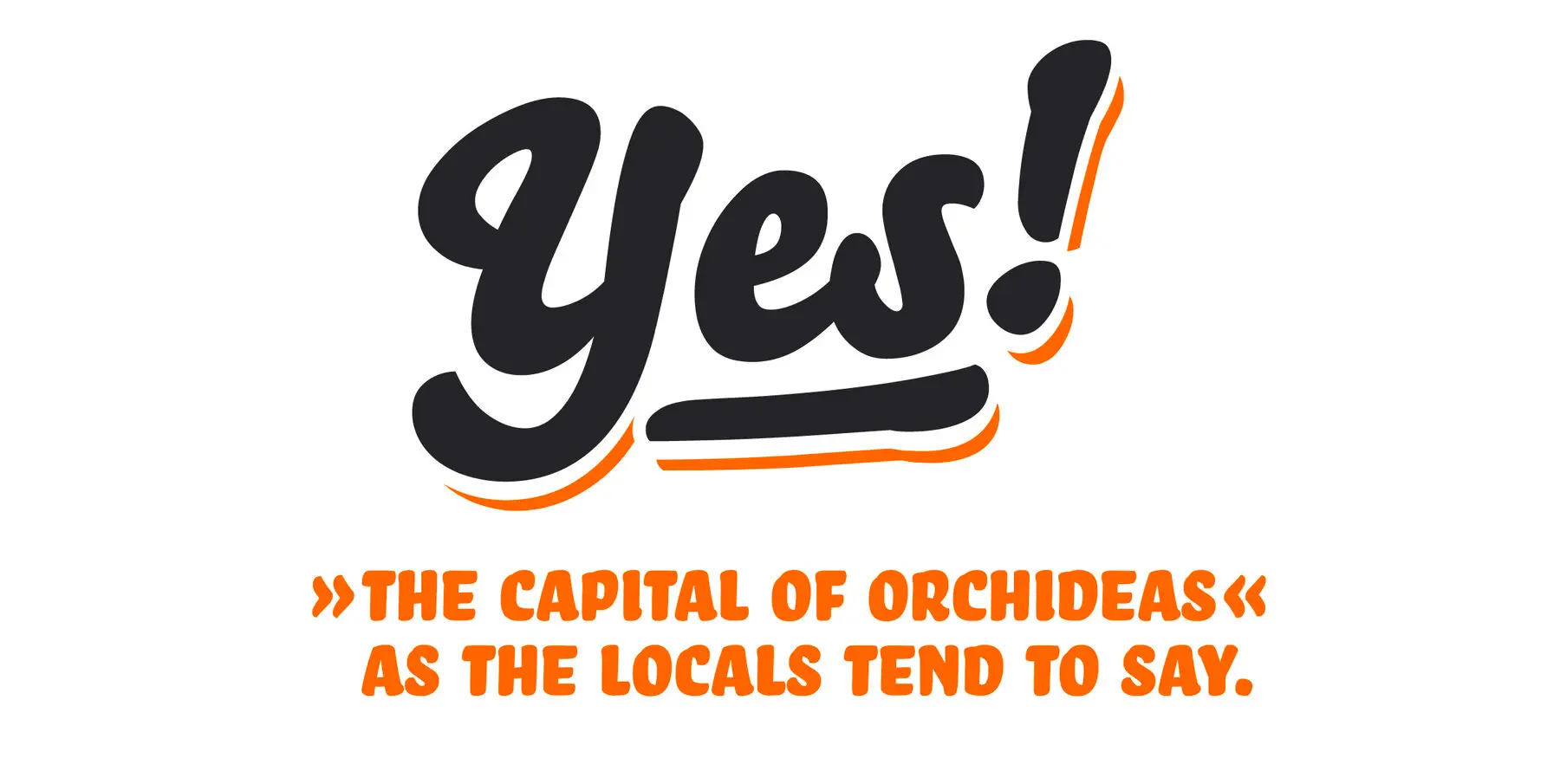 Bello Pro Font - YouWorkForThem