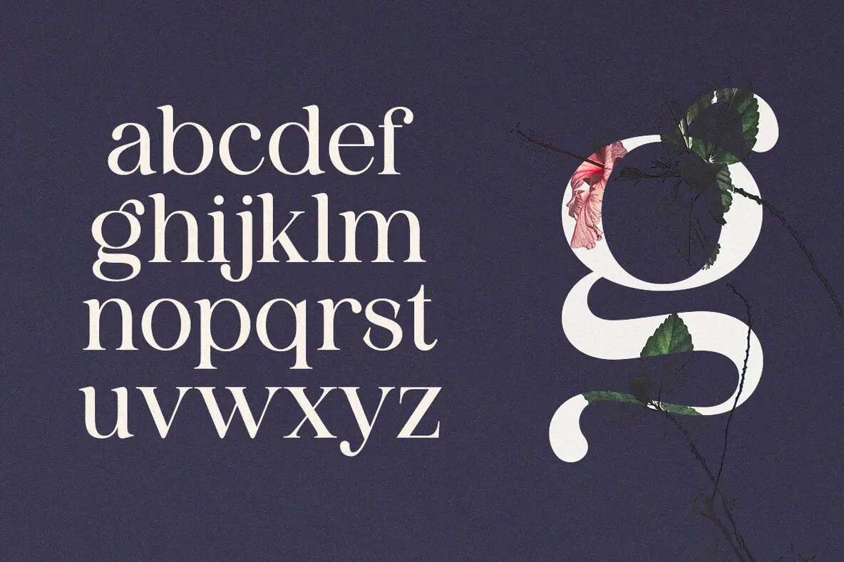 Sangect Font - YouWorkForThem