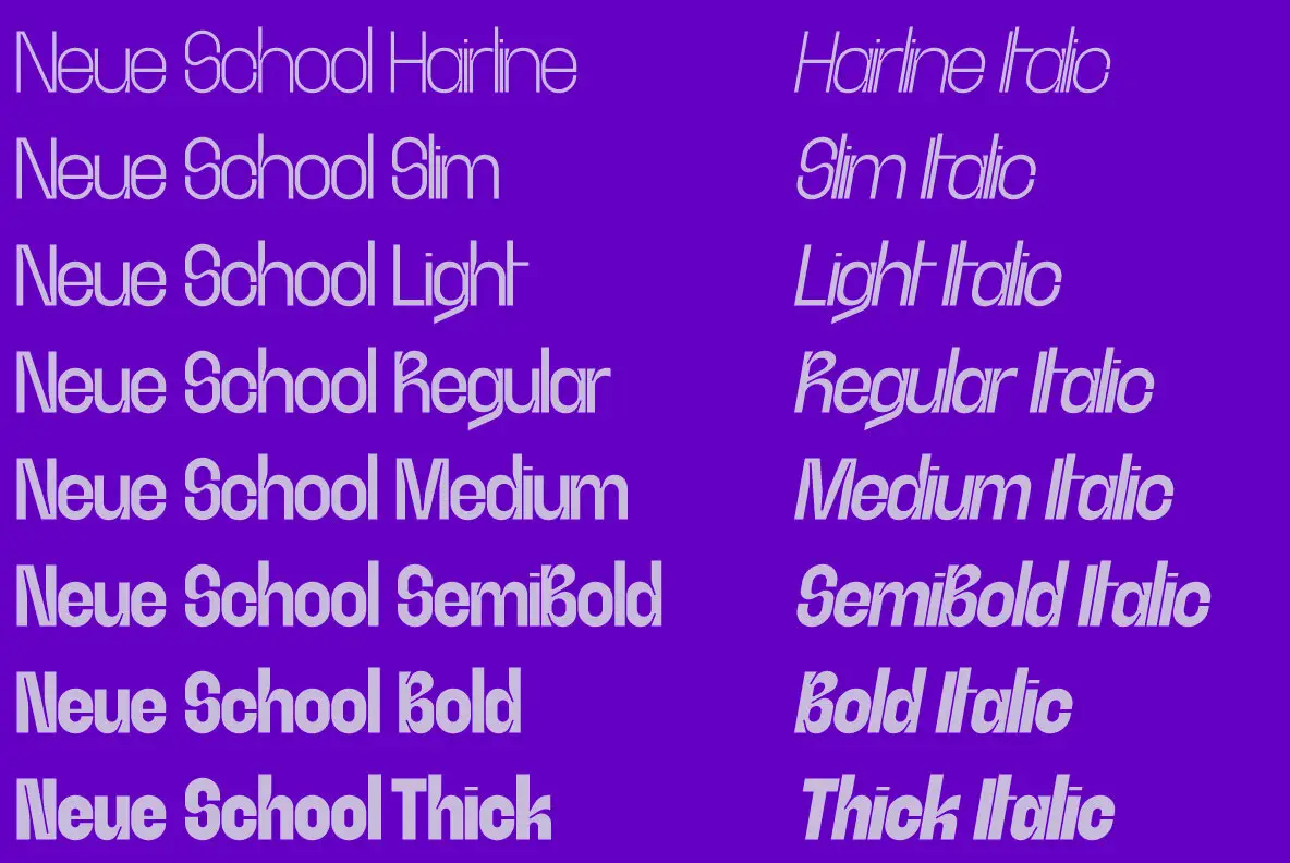 Neue School Font - FontPath