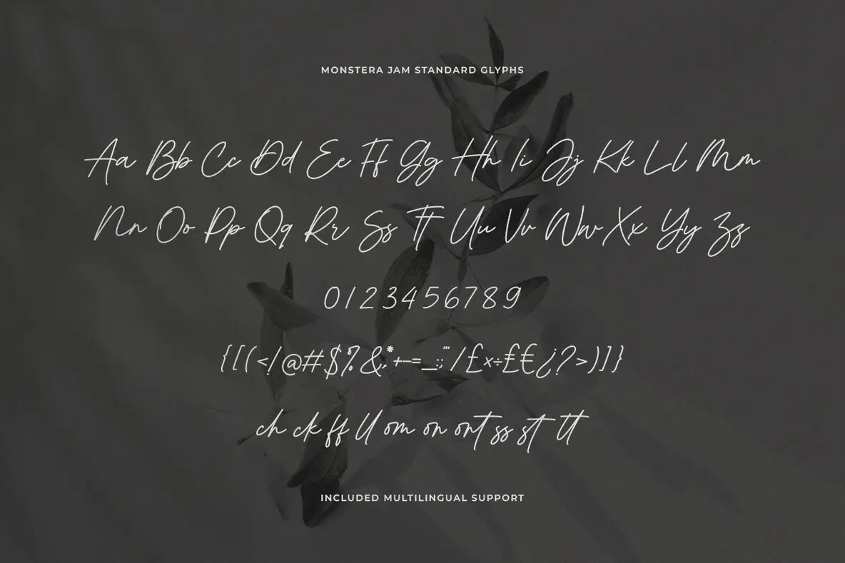 Monstera Jam Font - YouWorkForThem