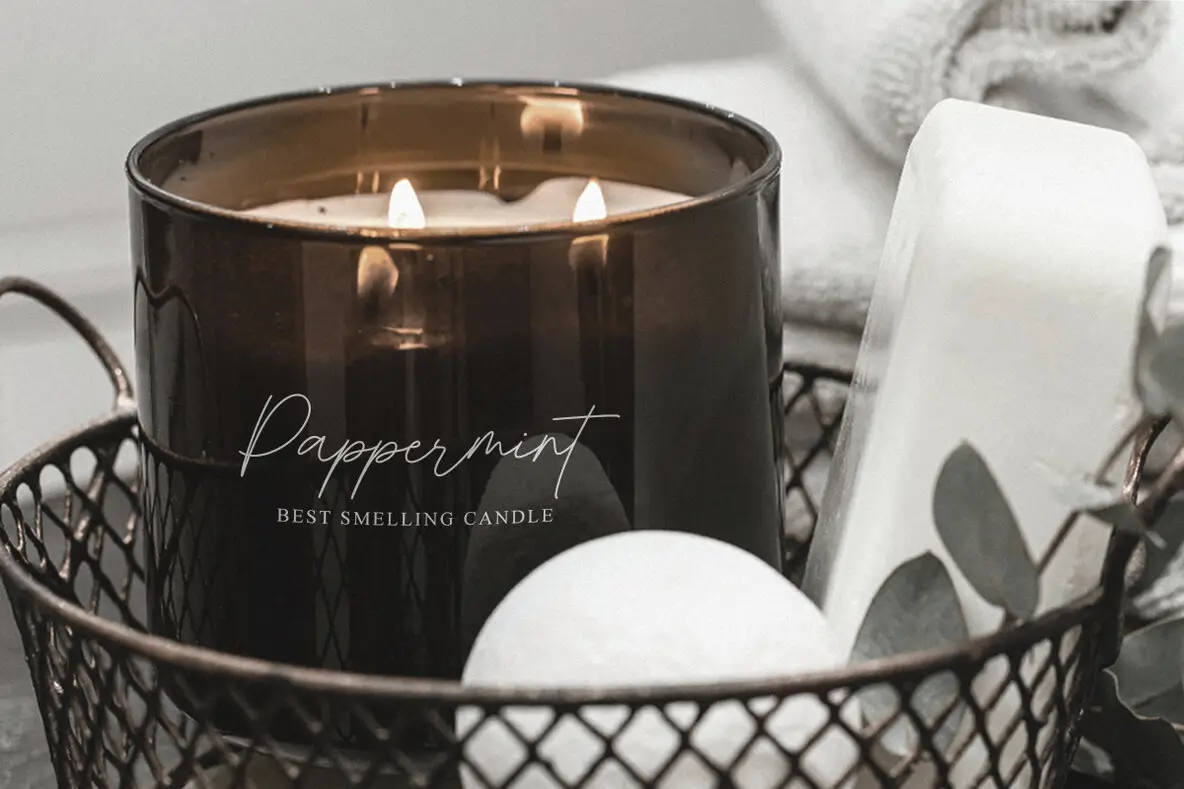 Monstera Jam Font - YouWorkForThem