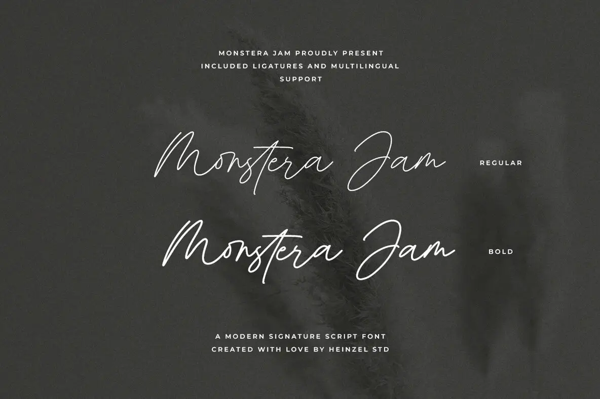 Monstera Jam Font - YouWorkForThem