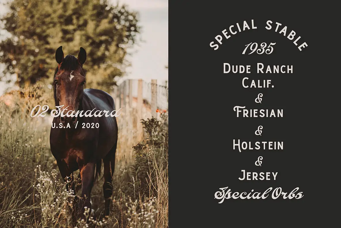 AT Alistair Font Duo - YouWorkForThem