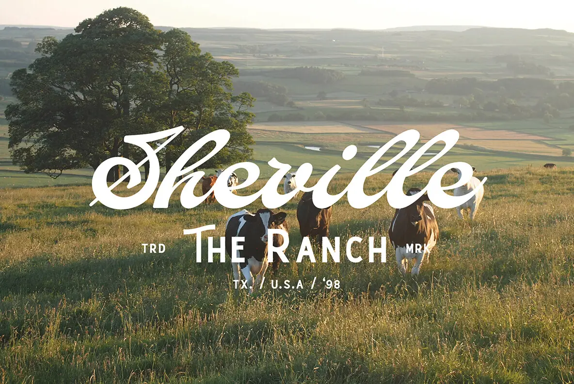 AT Alistair Font Duo - YouWorkForThem