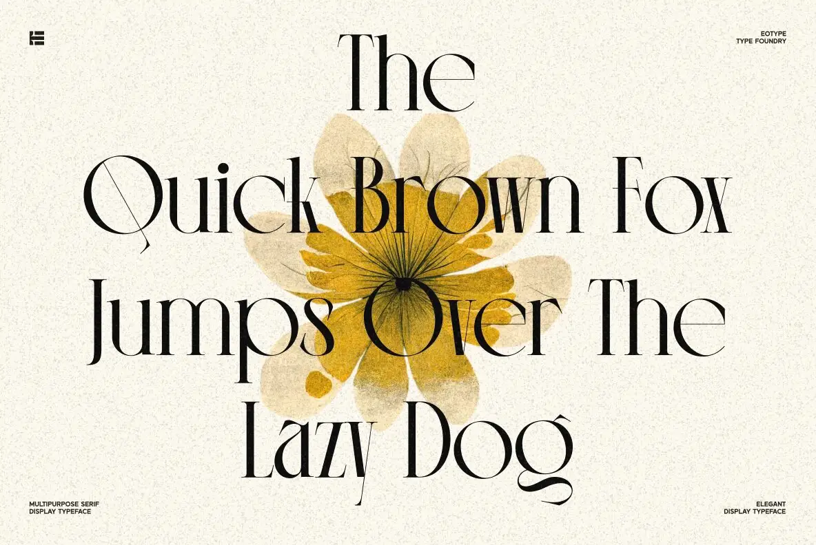 Monico Font - YouWorkForThem