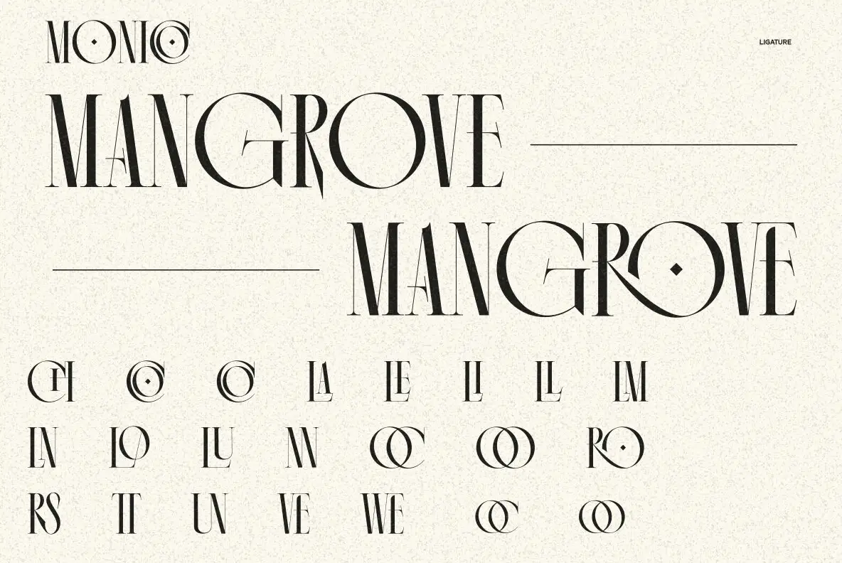 Monico Font - YouWorkForThem