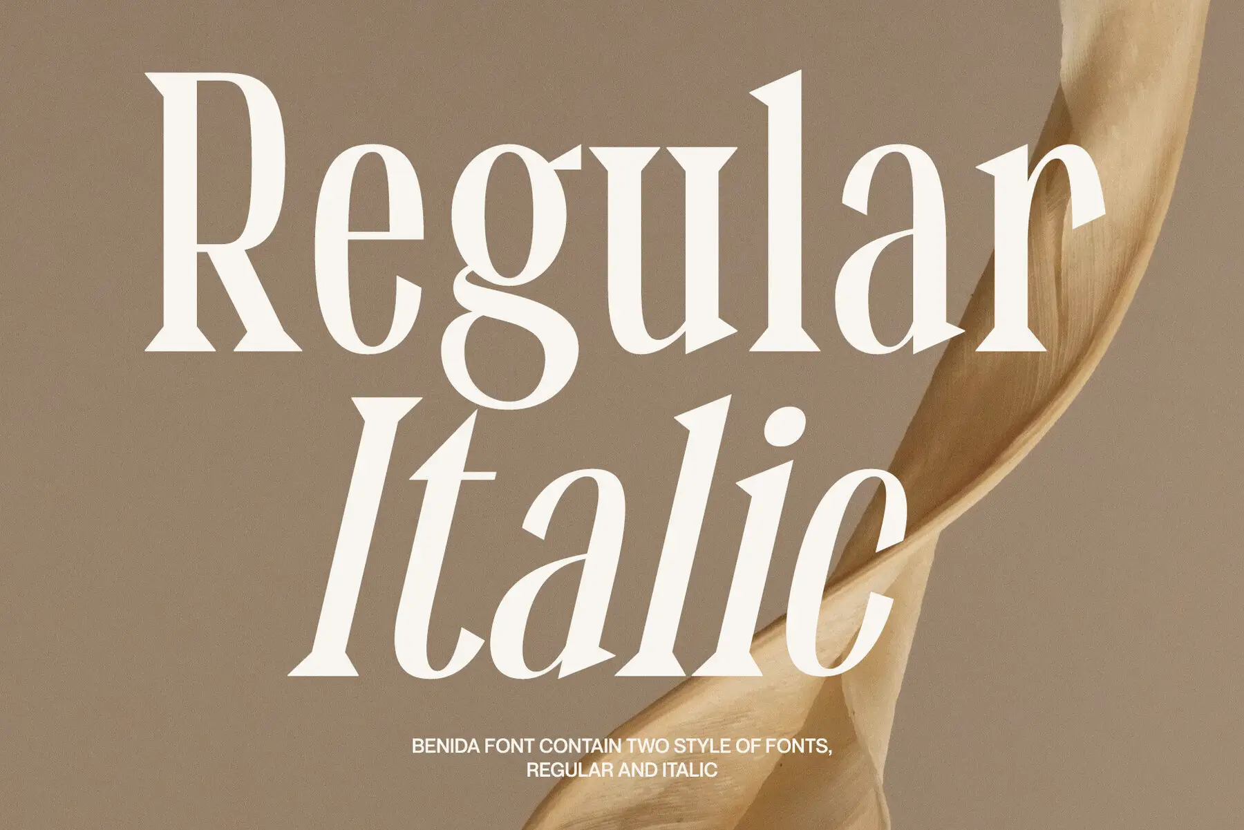 Benida Font - YouWorkForThem
