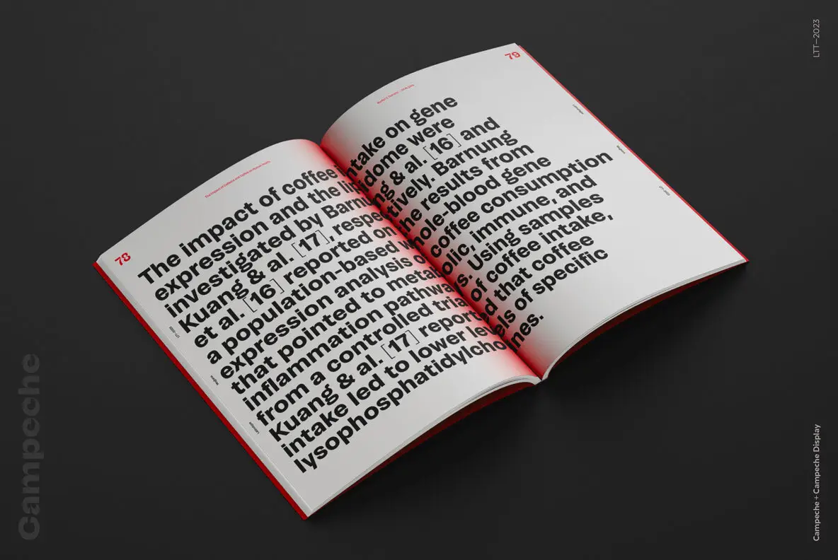 Campeche Font - FontPath