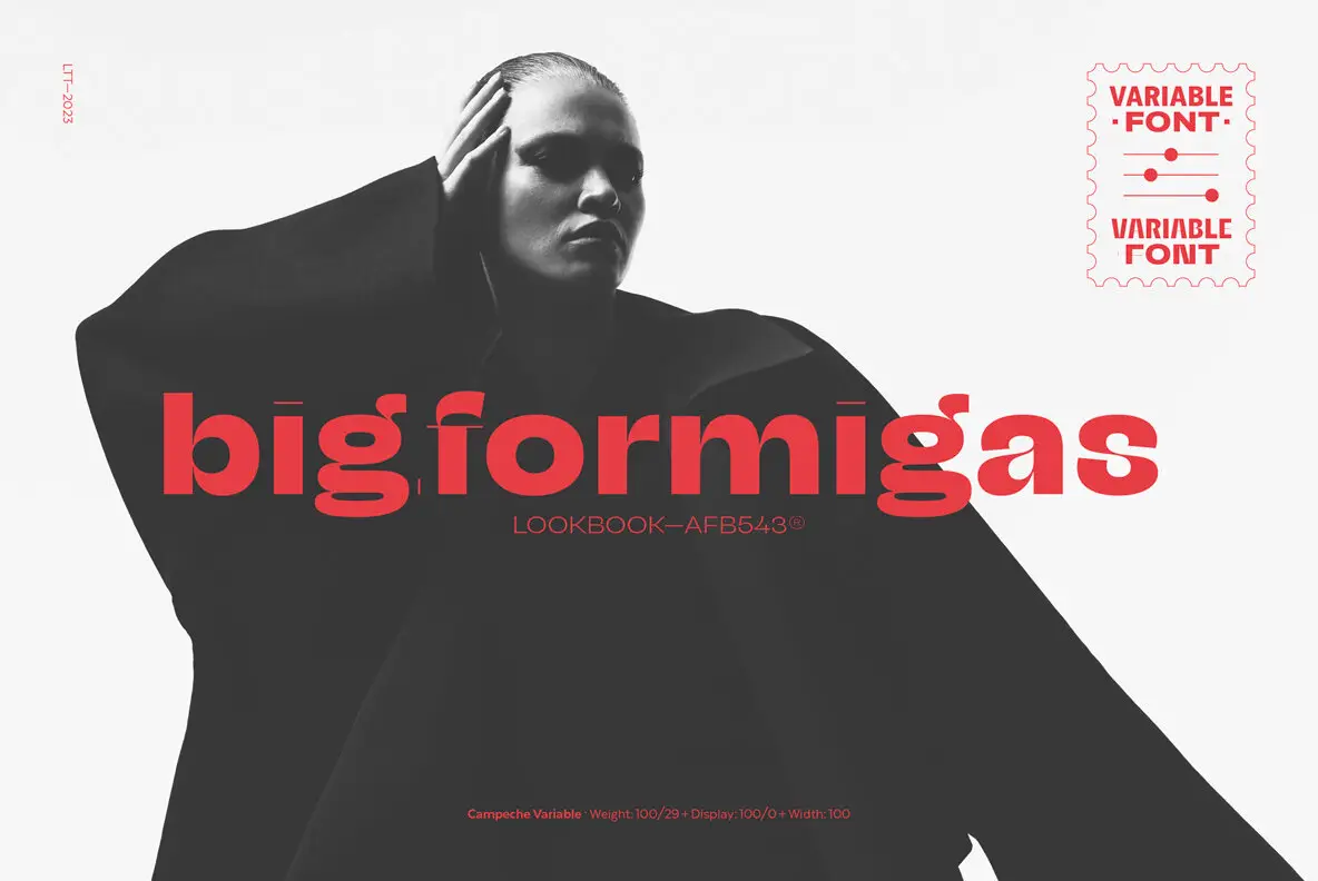 Campeche Variable Font - YouWorkForThem