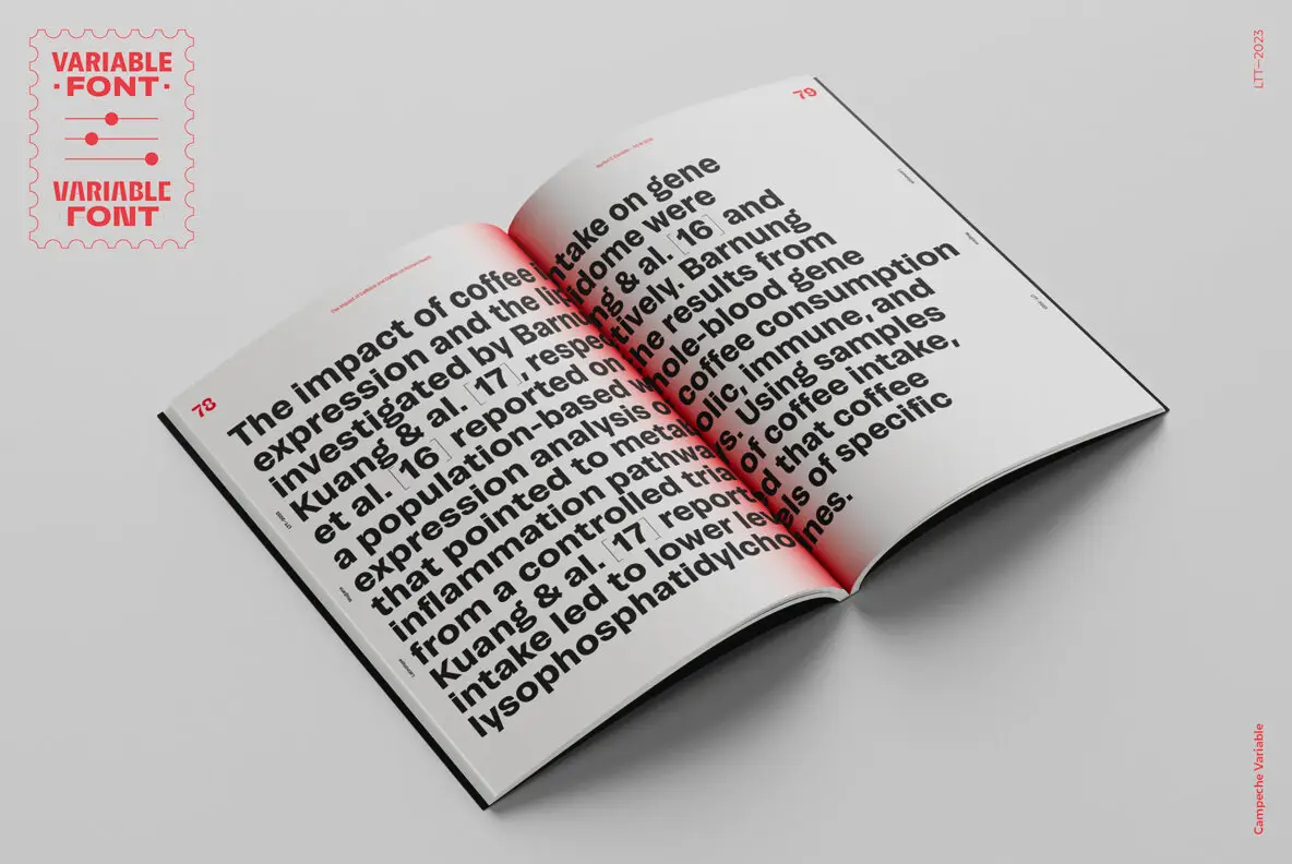 Campeche Variable Font - YouWorkForThem