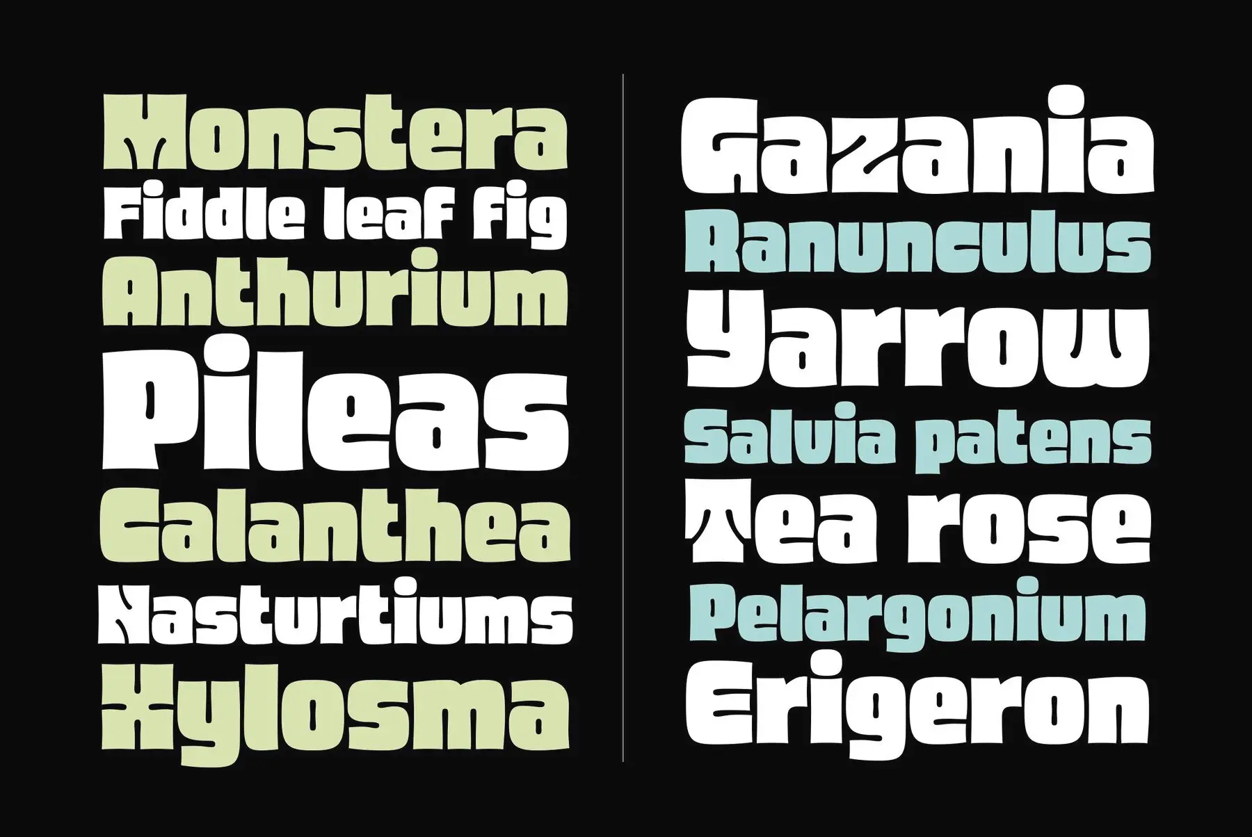 Moderately Font - YouWorkForThem