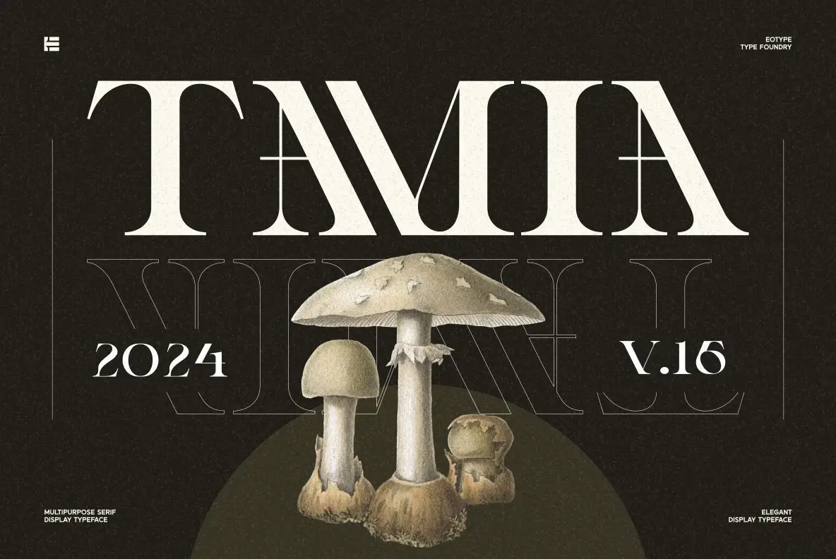 Naori Font - YouWorkForThem