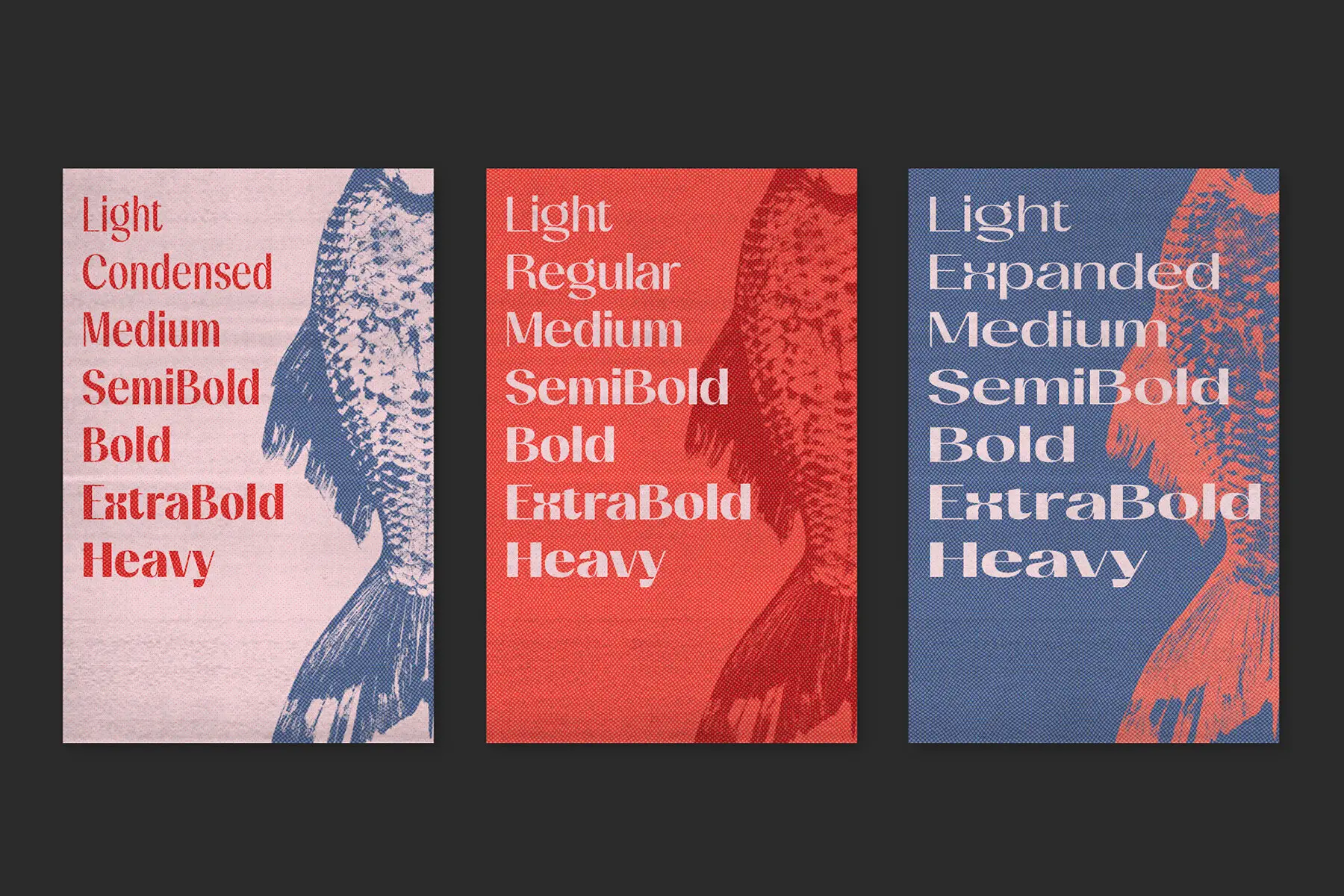 Mansel Font - YouWorkForThem