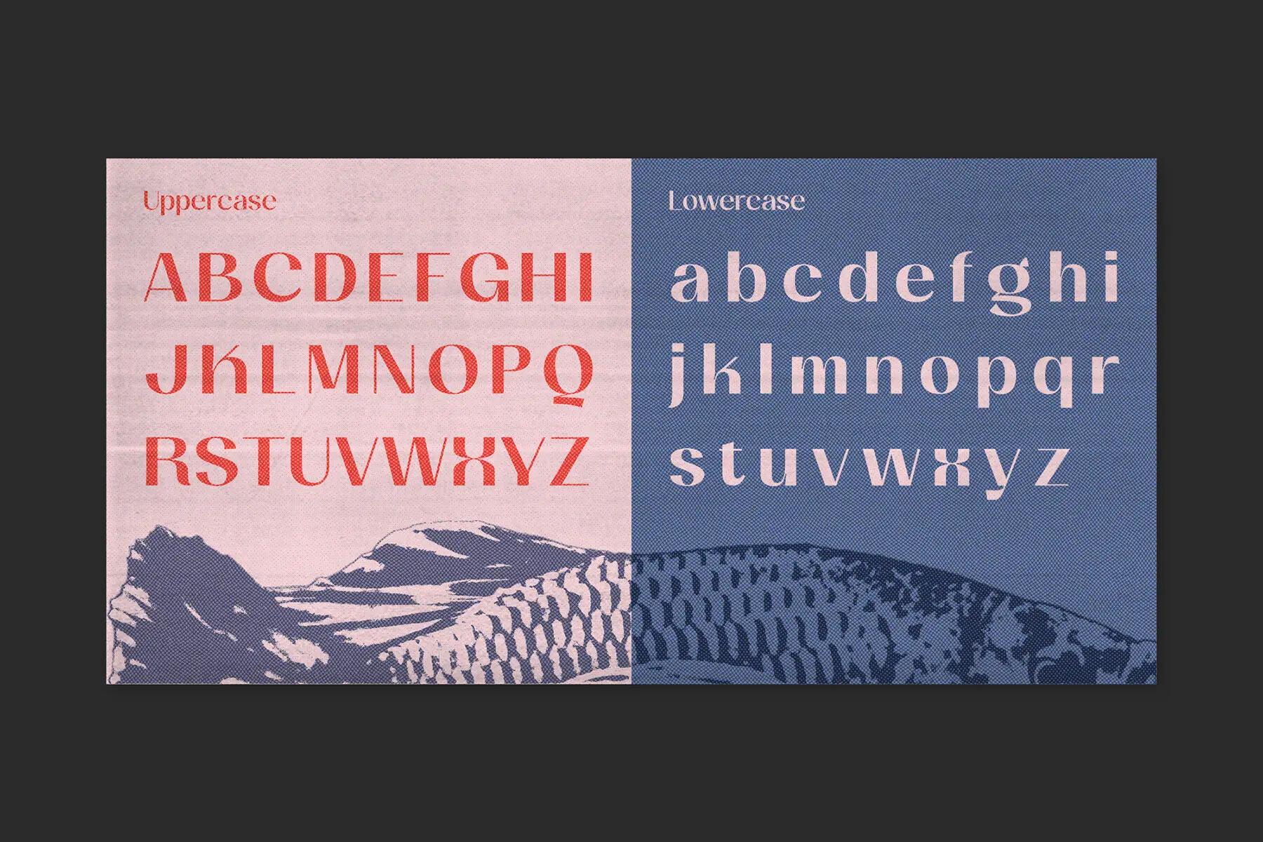 Mansel Font - YouWorkForThem