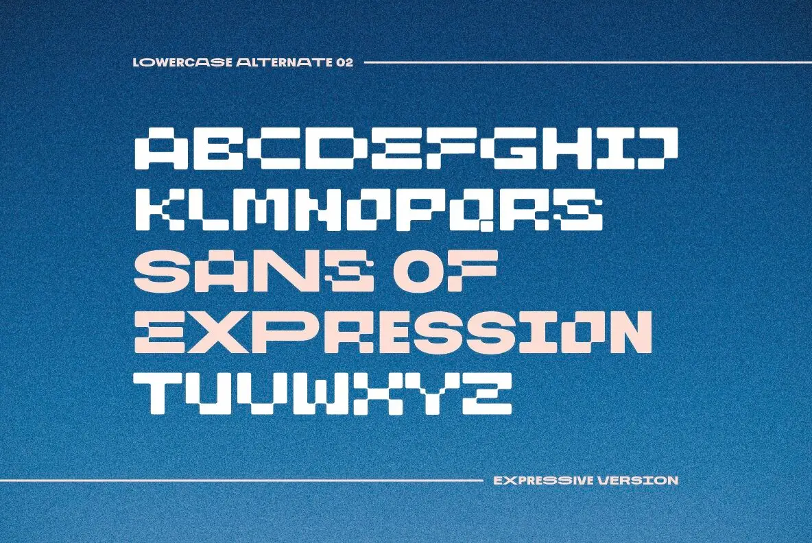 Sans of Expression Font - YouWorkForThem