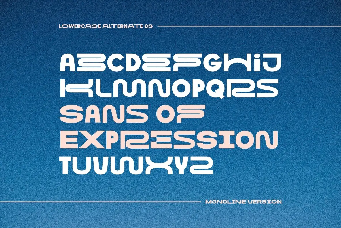 Sans of Expression Font - YouWorkForThem