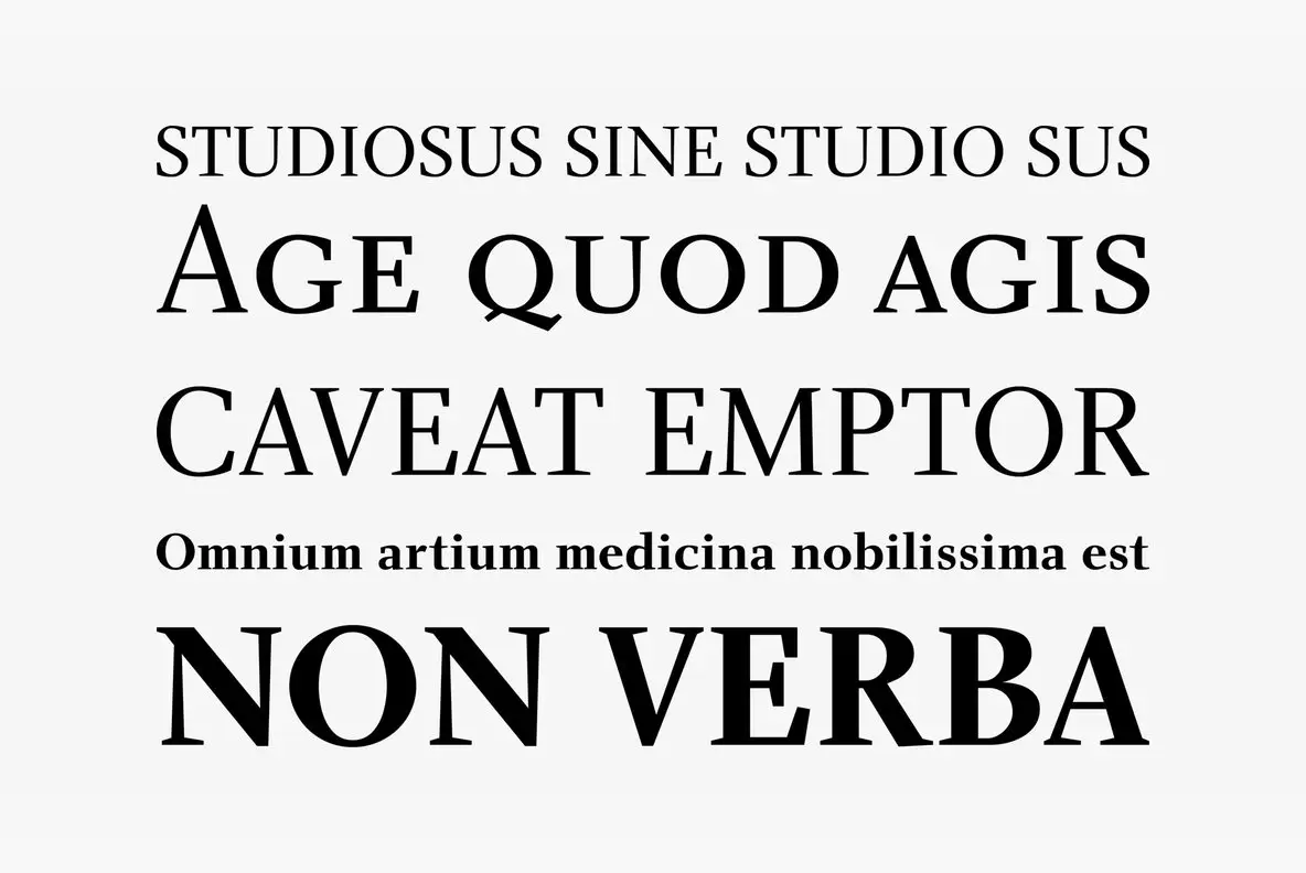 Charlotte Font - YouWorkForThem