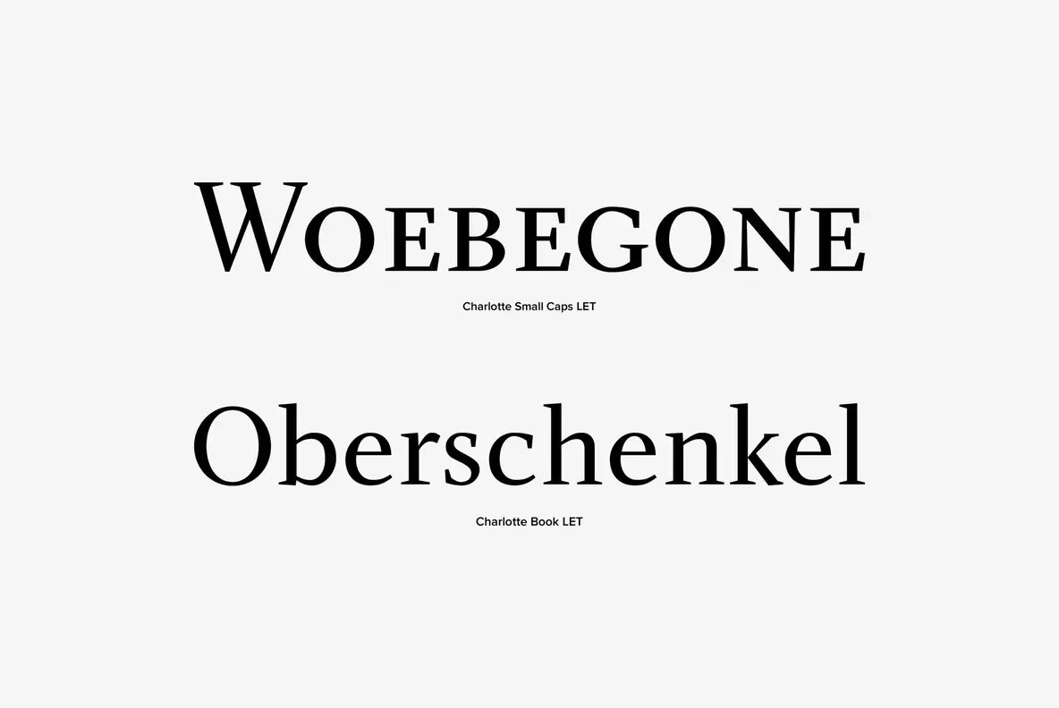 Charlotte Font - YouWorkForThem