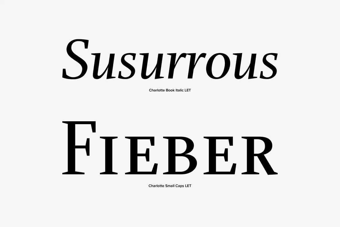 Charlotte Font - YouWorkForThem