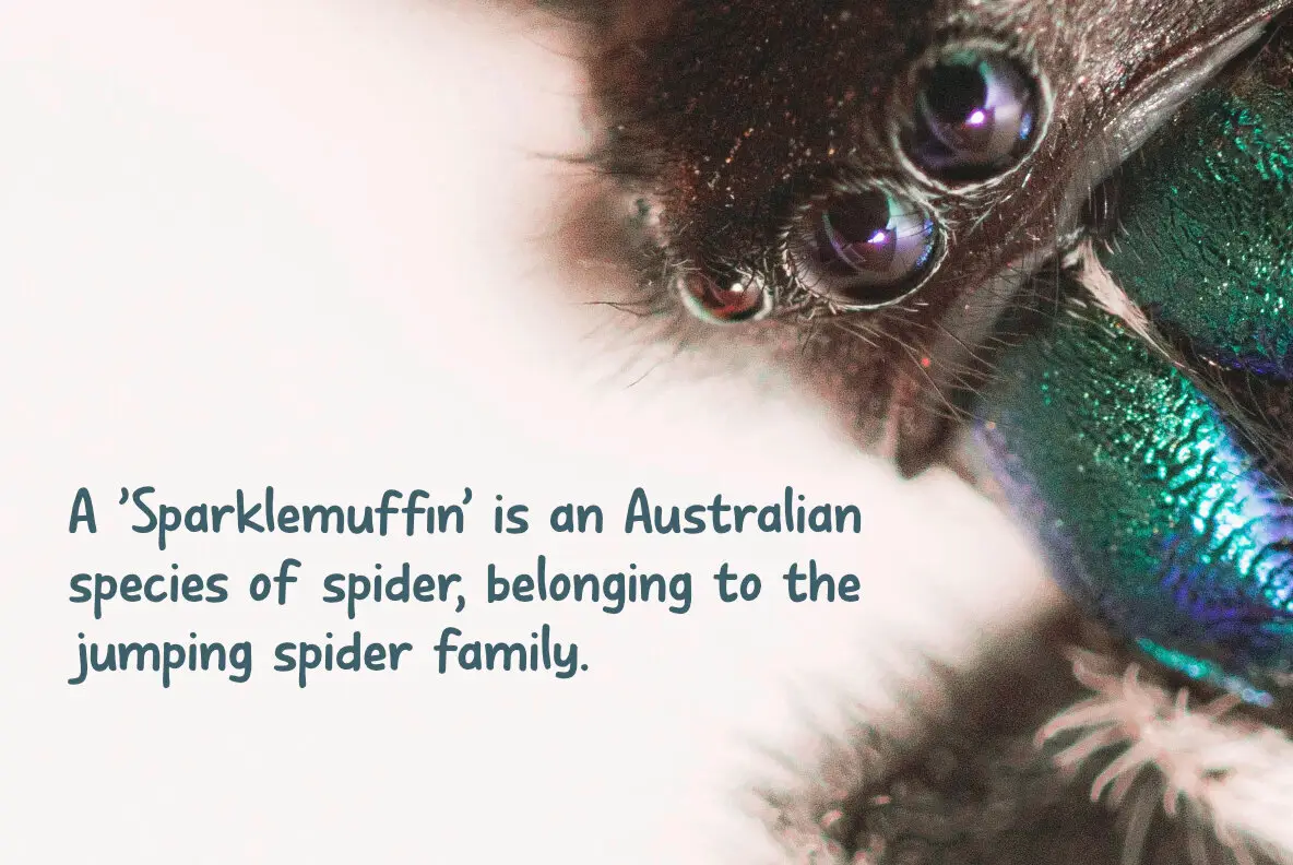 Sparklemuffin Font - YouWorkForThem