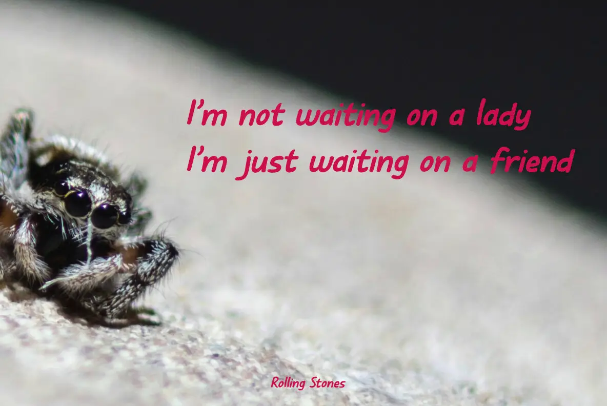 Sparklemuffin Font - YouWorkForThem