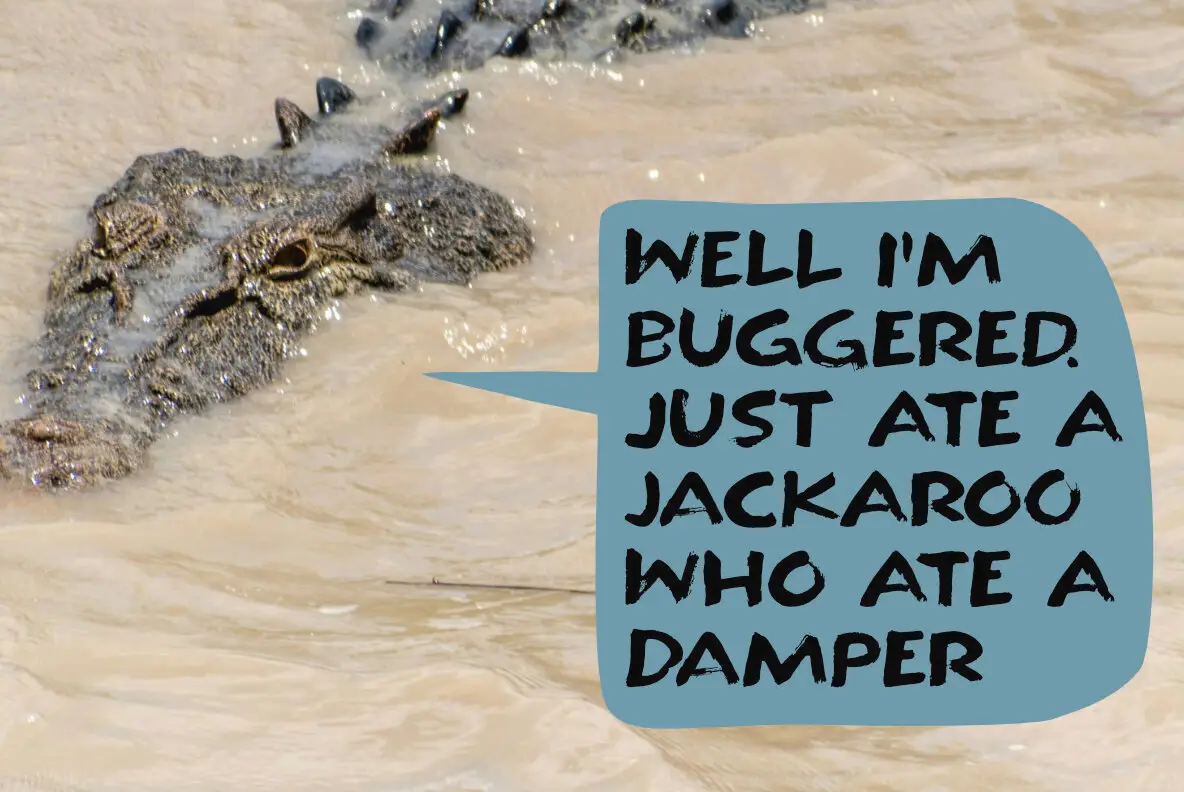 Outback Damper Font - YouWorkForThem