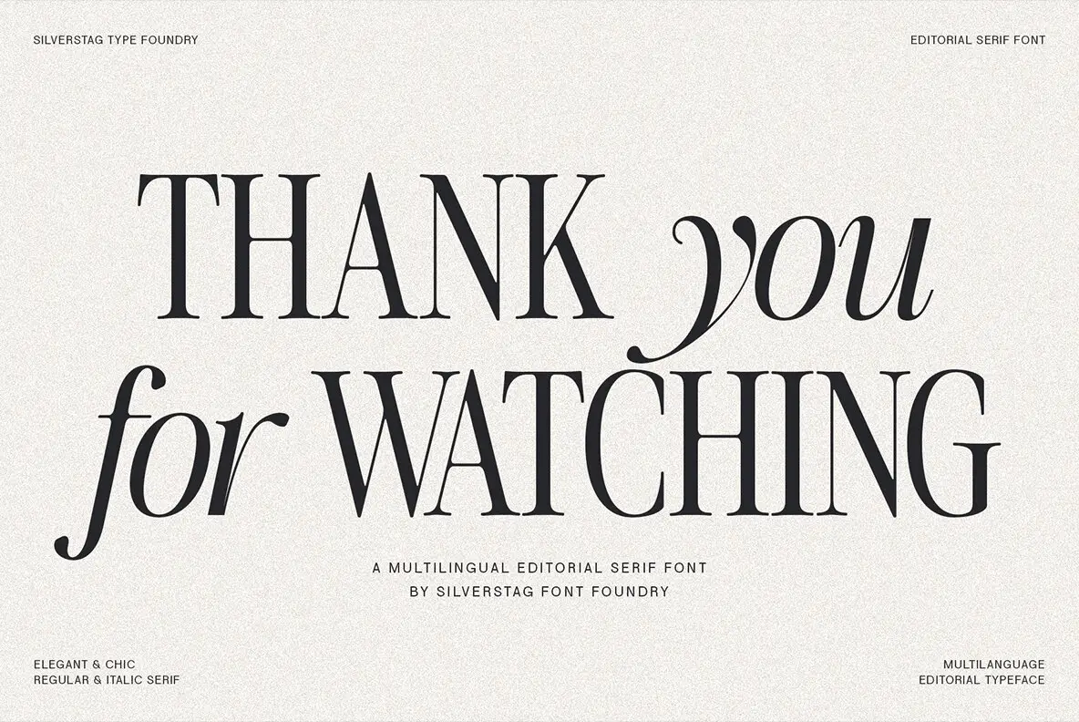 The Silver Editorial Font - FontPath