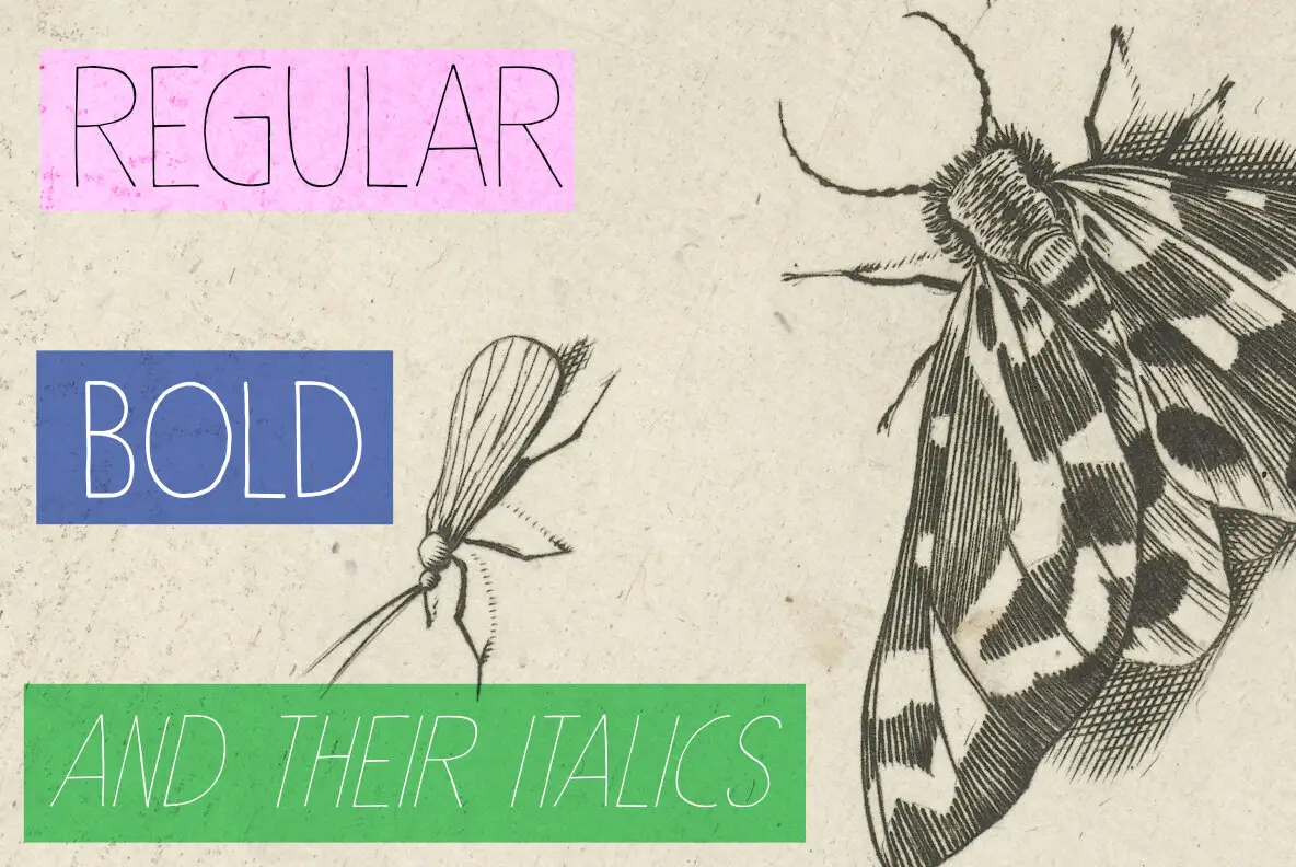 Insect Jar Font - YouWorkForThem