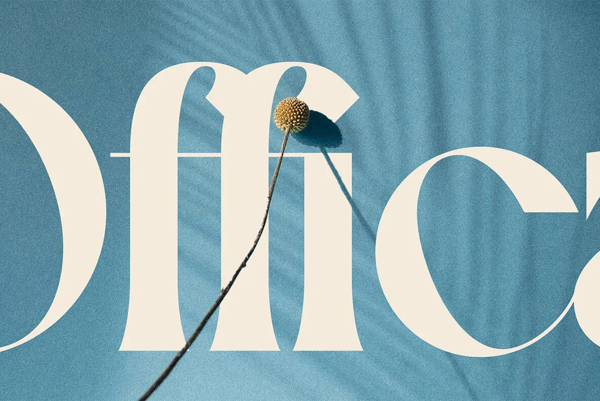 Gallica Font - YouWorkForThem