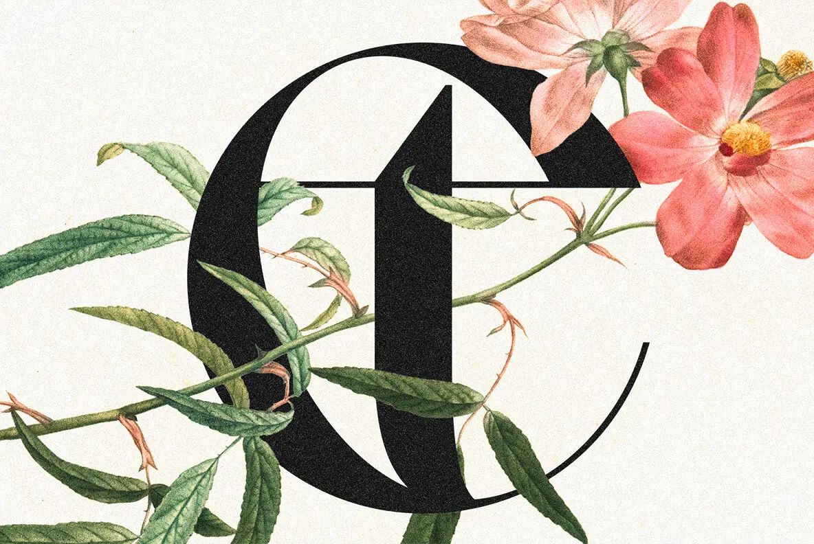 Gallica Font - YouWorkForThem